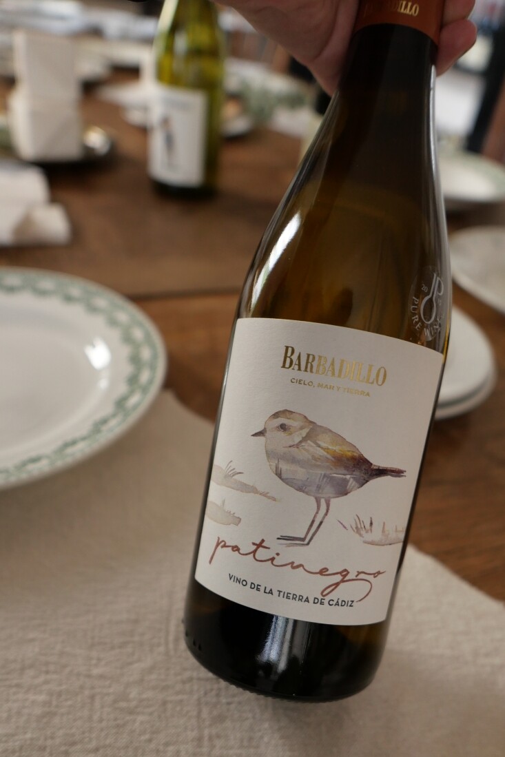2021 巴巴狄優酒莊環頸鴴有機生物型白酒Barbadillo Vino Blanco Ecologico Patinegro | PURE WINE